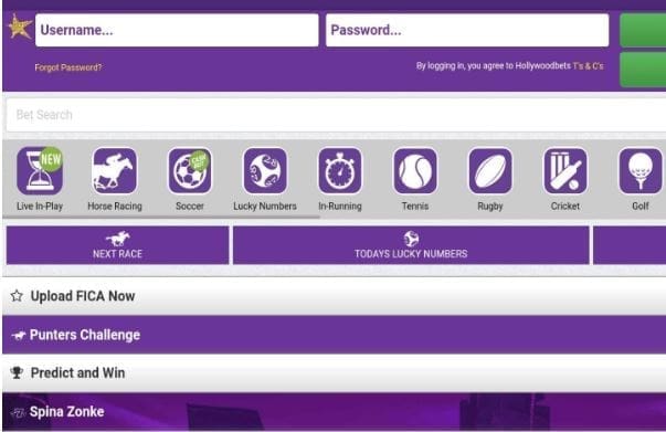 Download The Hollywoodbets App for Android and iOS | TechFinancials